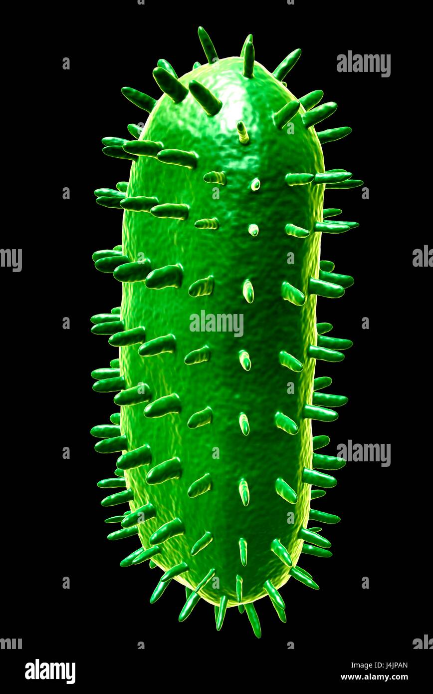 Illustration of rabies virus Stock Photo - Alamy