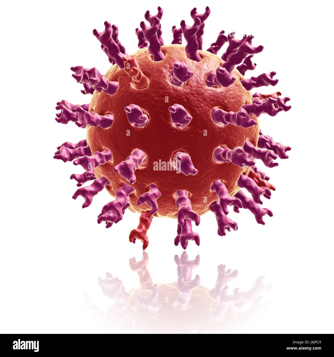 Illustration of Rotavirus Stock Photo - Alamy