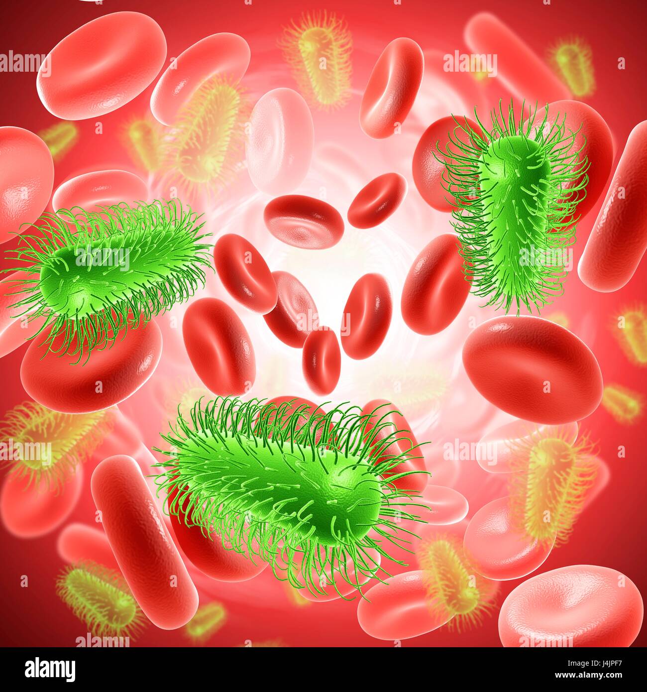 Illustration of bacterial blood infection Stock Photo - Alamy