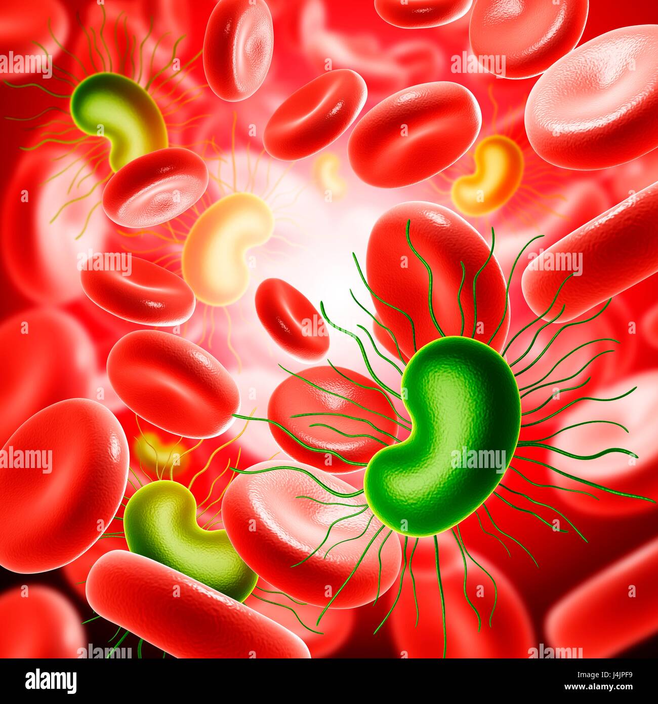Illustration of bacterial blood infection Stock Photo - Alamy