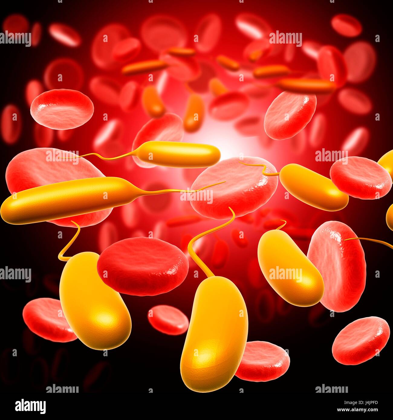 Bacterial Blood High Resolution Stock Photography and Images - Alamy