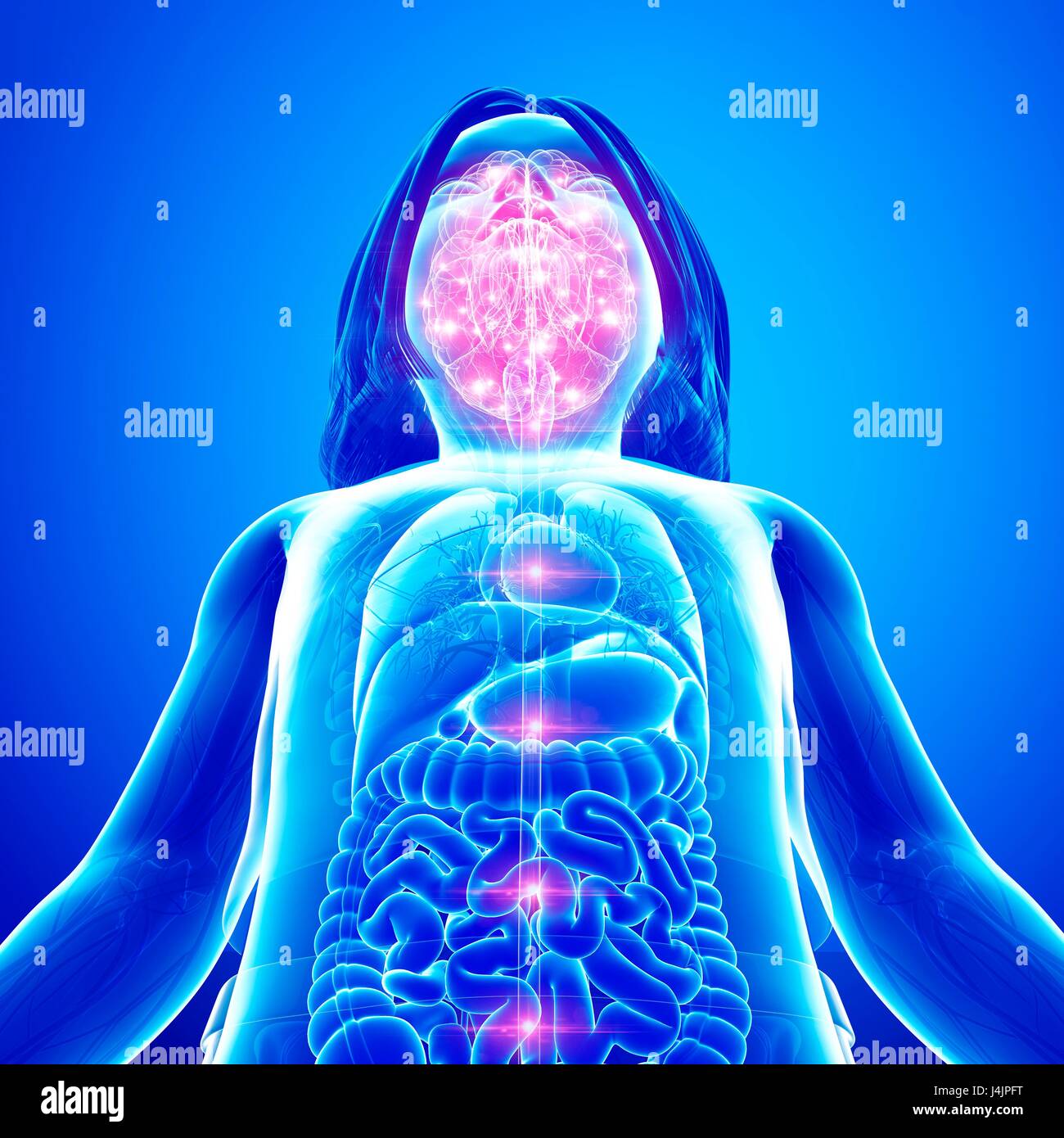 Illustration of human brain activity Stock Photo - Alamy