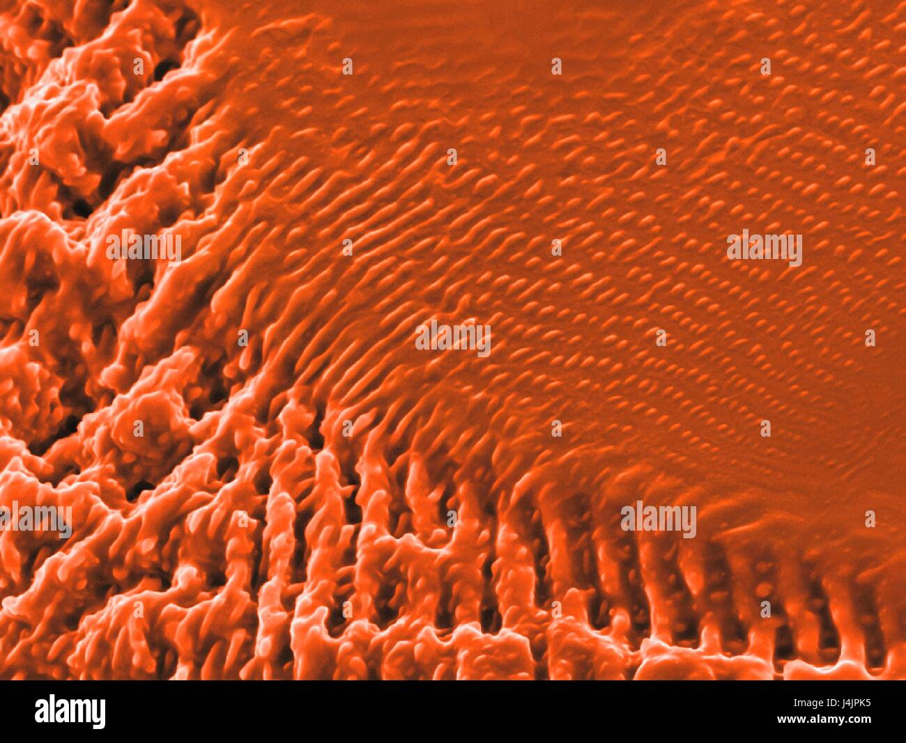 Nanostructures semiconductor waterfall hi-res stock photography and ...