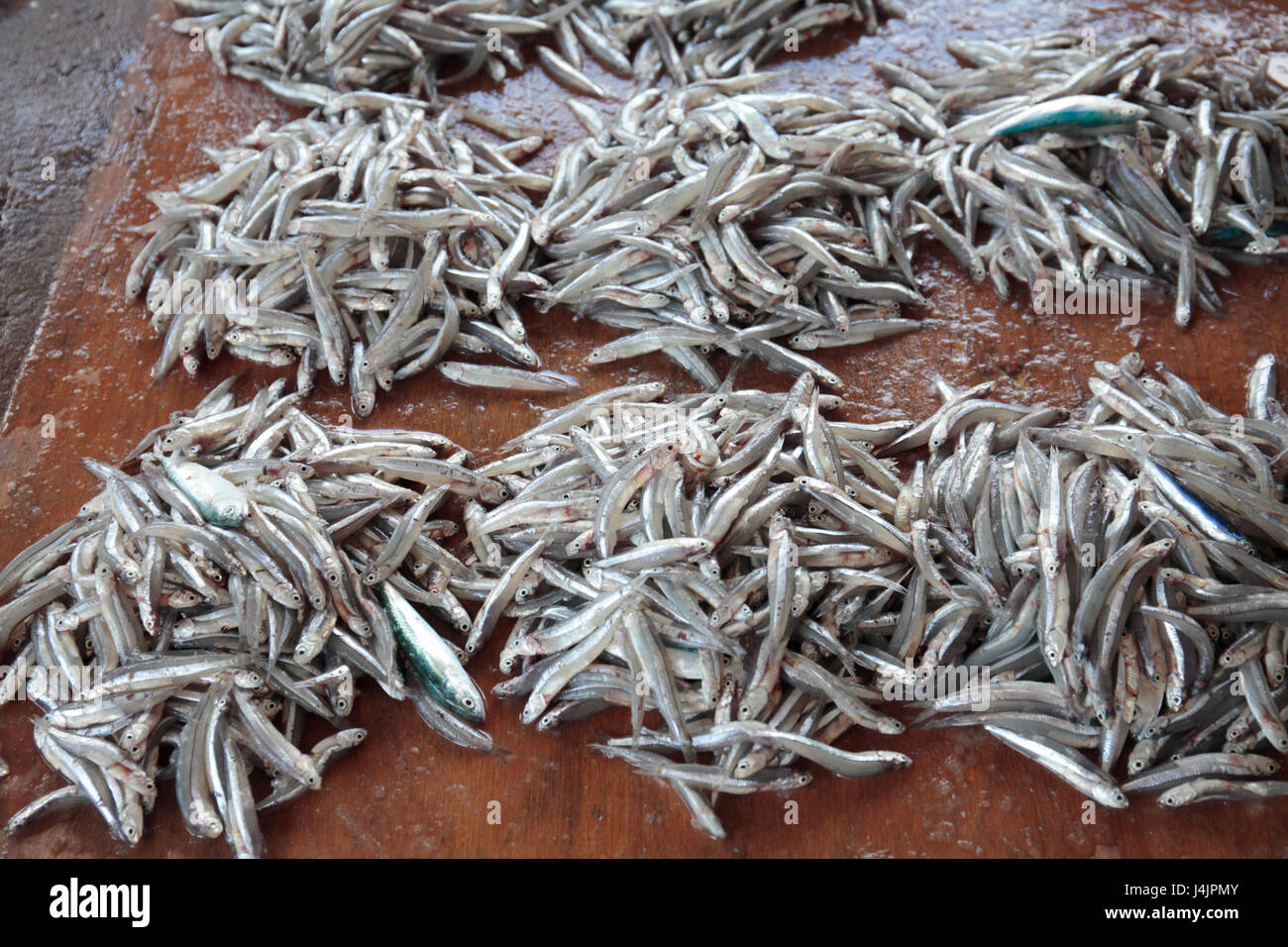 Tanzania fish market hi-res stock photography and images - Alamy