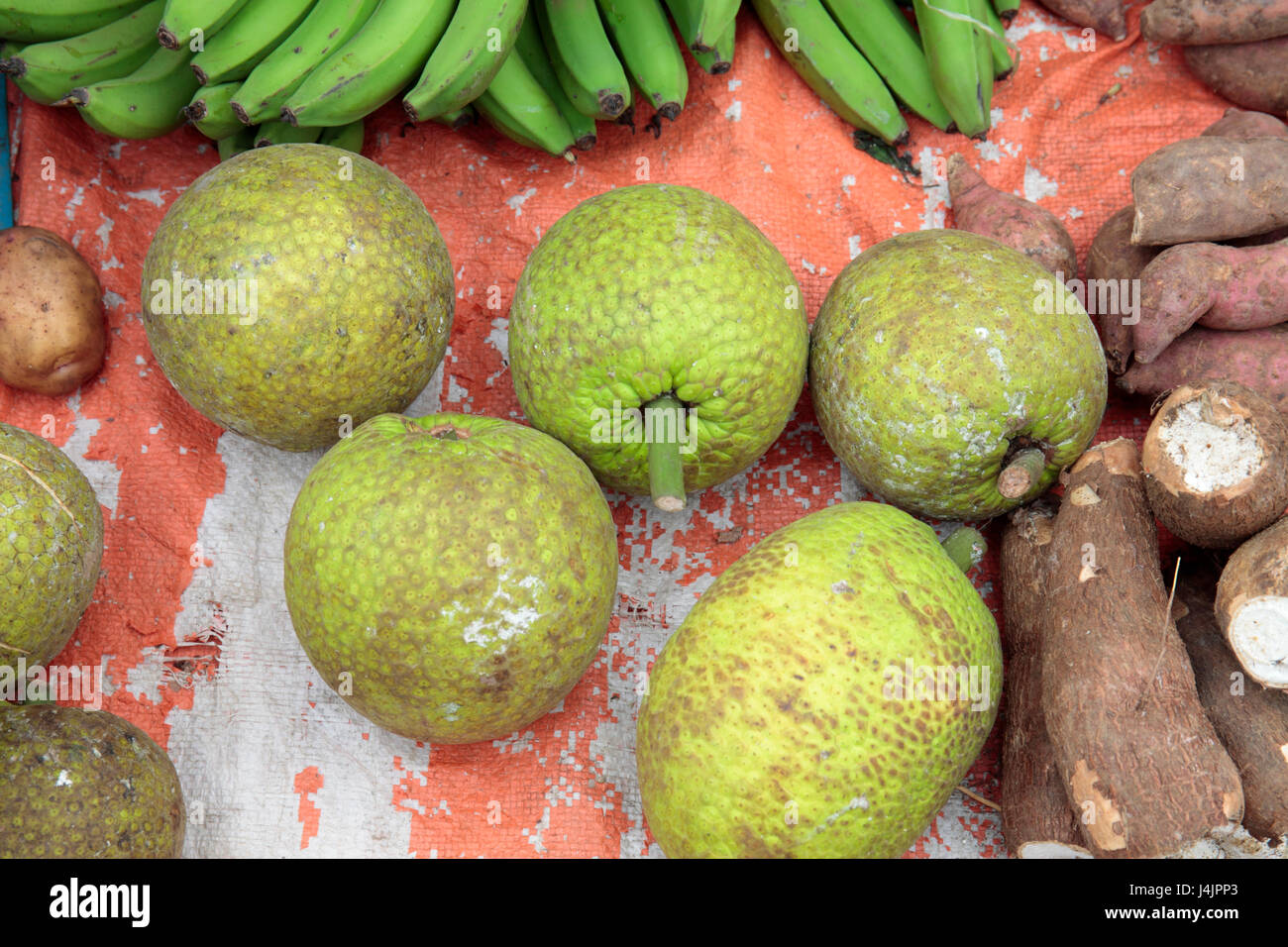 African breadfruit hi-res stock photography and images - Alamy