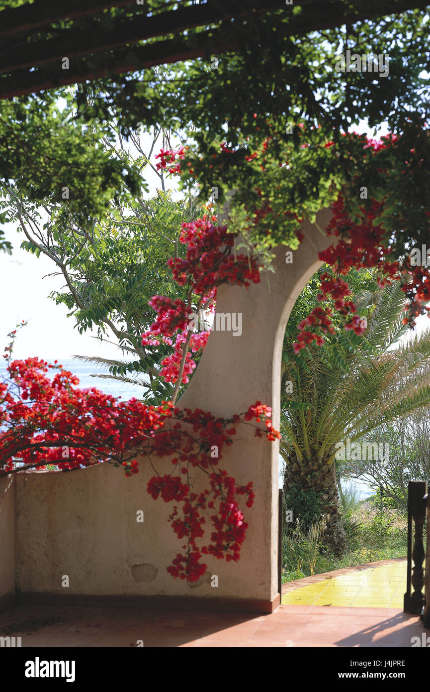 Italy, Calabria, terrace, flowers, park plants, growth, park, round ...