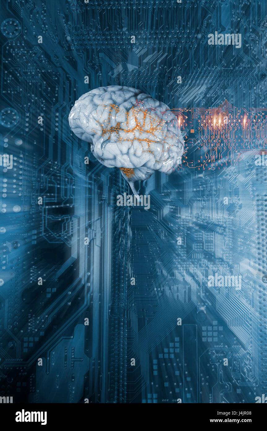 Circuit board brain hi-res stock photography and images - Alamy