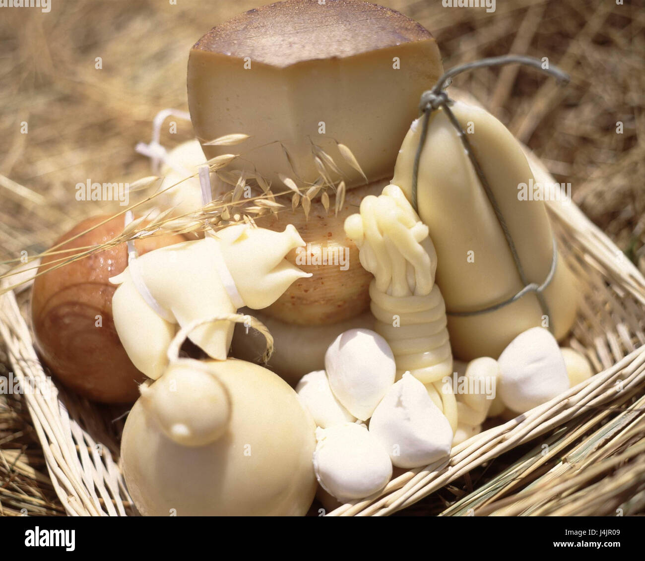 Italy, Calabria, cheese sorts, Provolo, mozzarella, Pecorino Süditalien ...