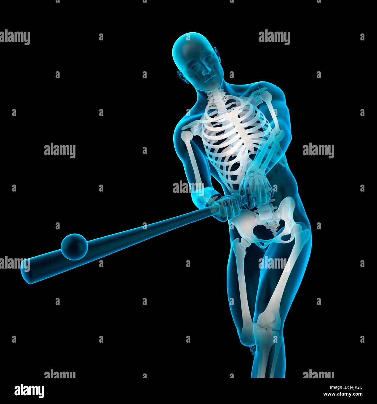 Anatomy of a baseball player hi-res stock photography and images - Alamy