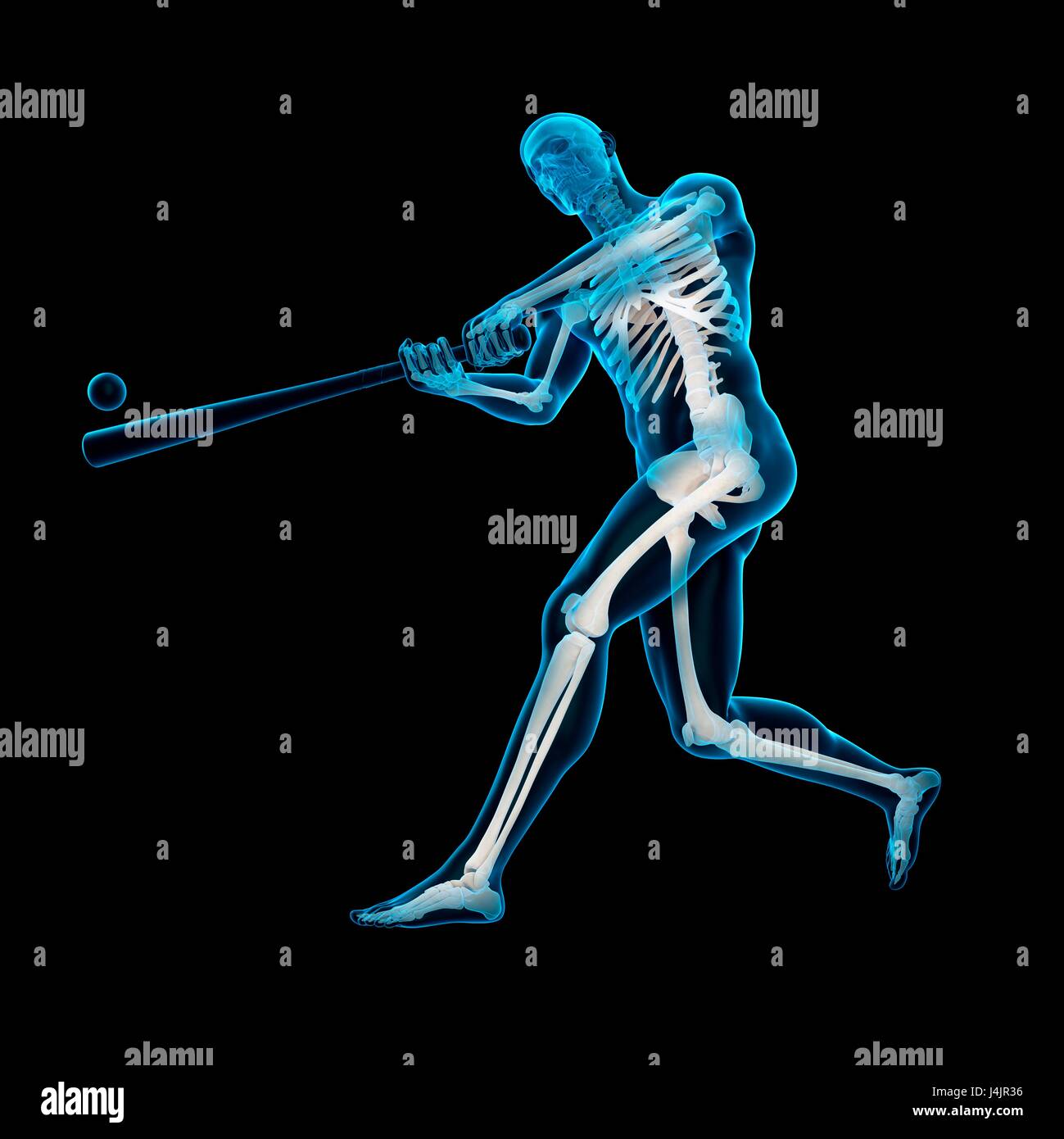 Skeletal structure of a baseball player, illustration Stock Photo - Alamy