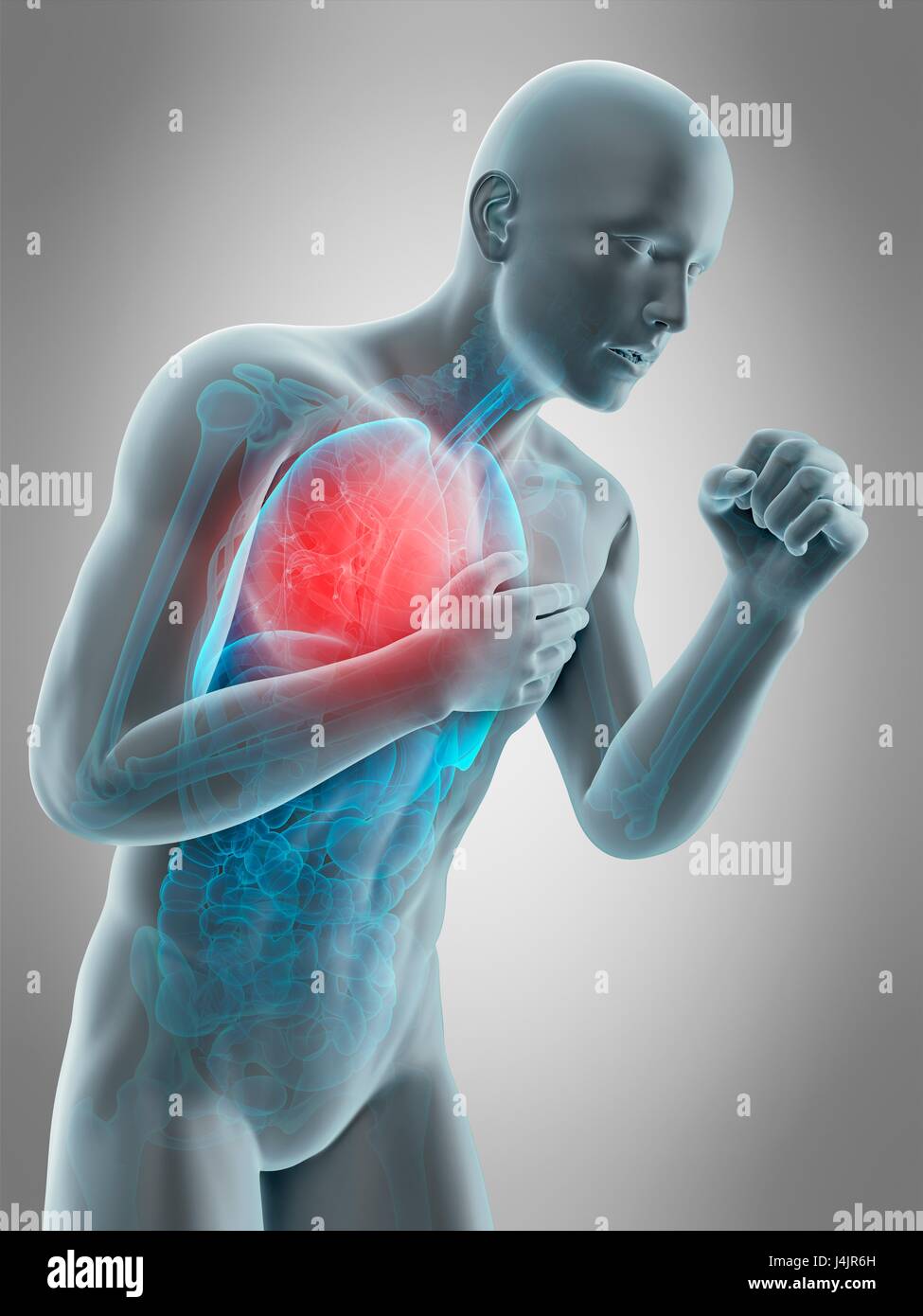 Anatomy of person coughing, illustration Stock Photo - Alamy