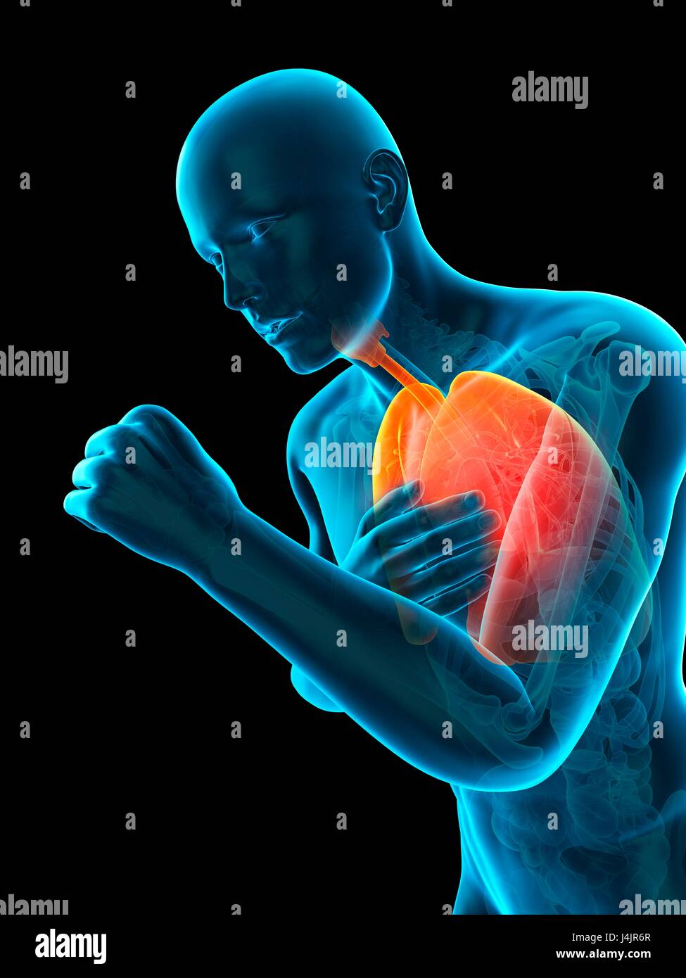 Anatomy of person coughing, illustration Stock Photo - Alamy