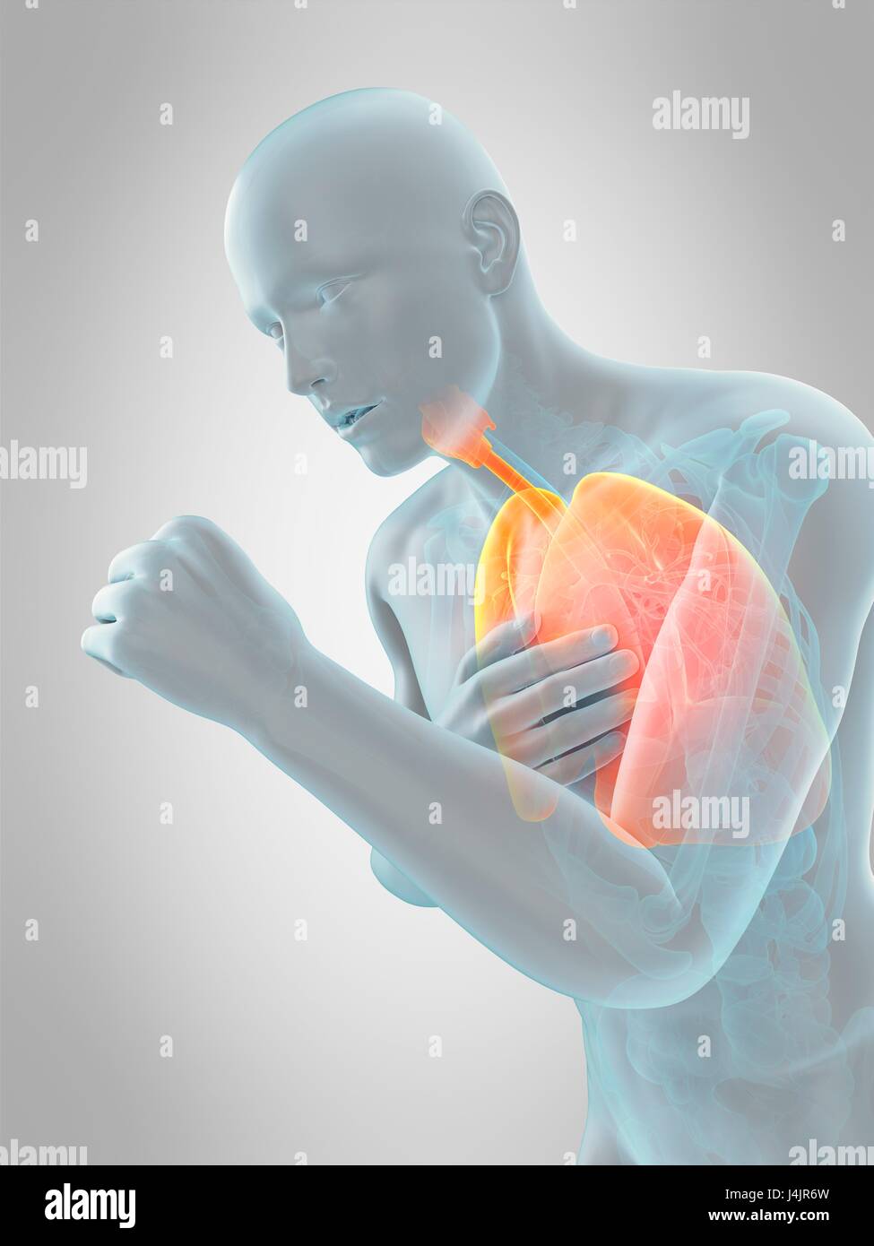 Anatomy of person coughing, illustration Stock Photo - Alamy