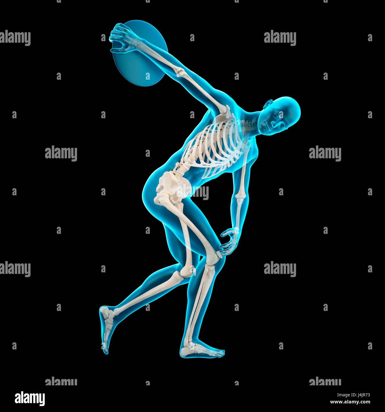 Skeletal structure of athlete throwing discus, illustration Stock Photo ...