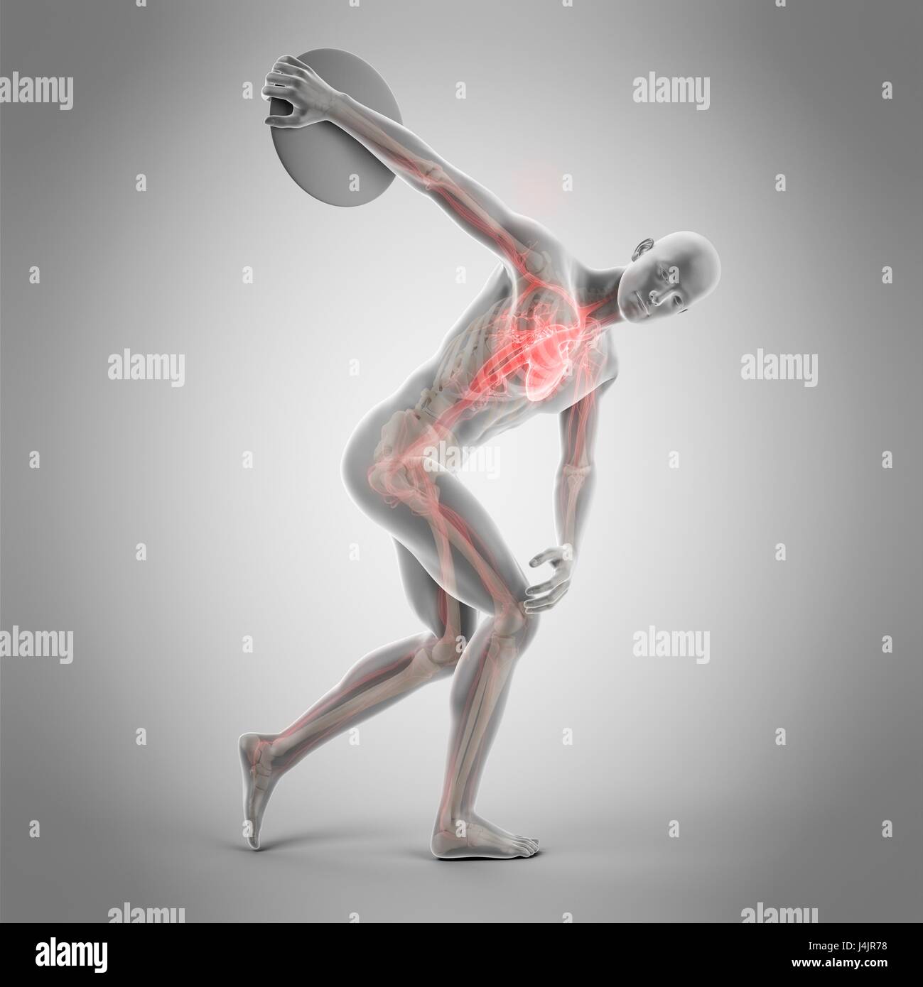 Anatomy of athlete throwing discus, illustration Stock Photo - Alamy