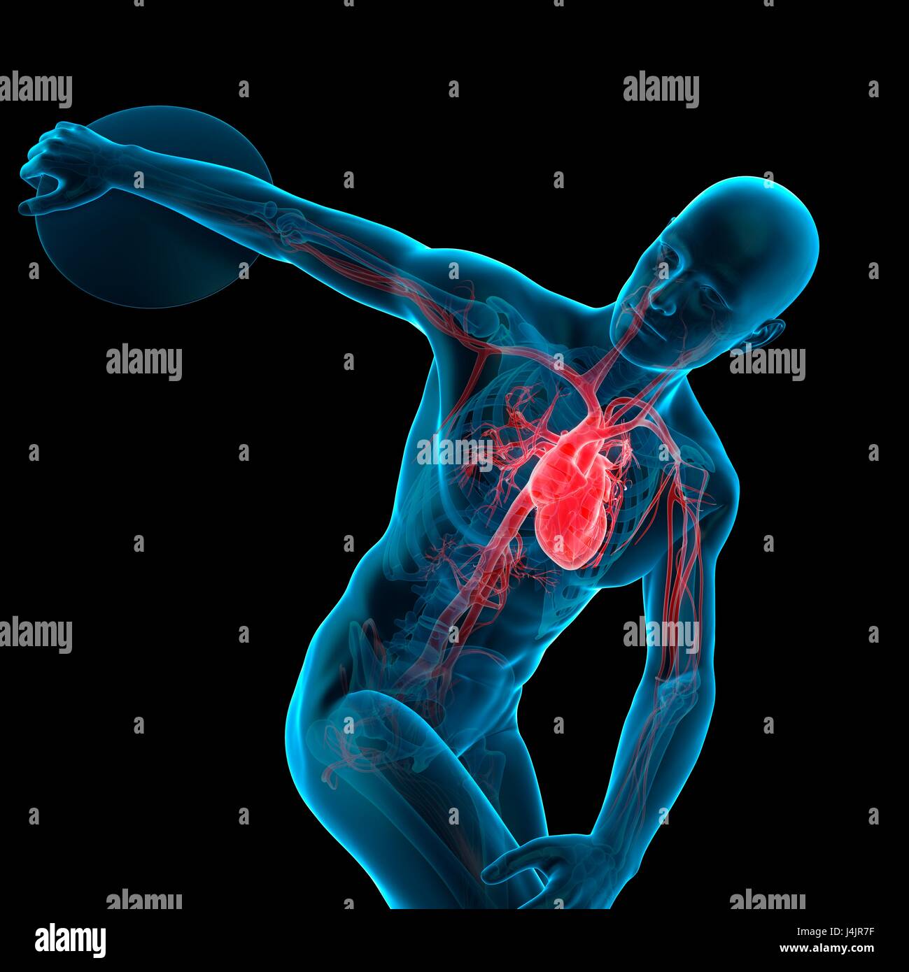 Anatomy Of Athlete Throwing Discus High Resolution Stock Photography ...