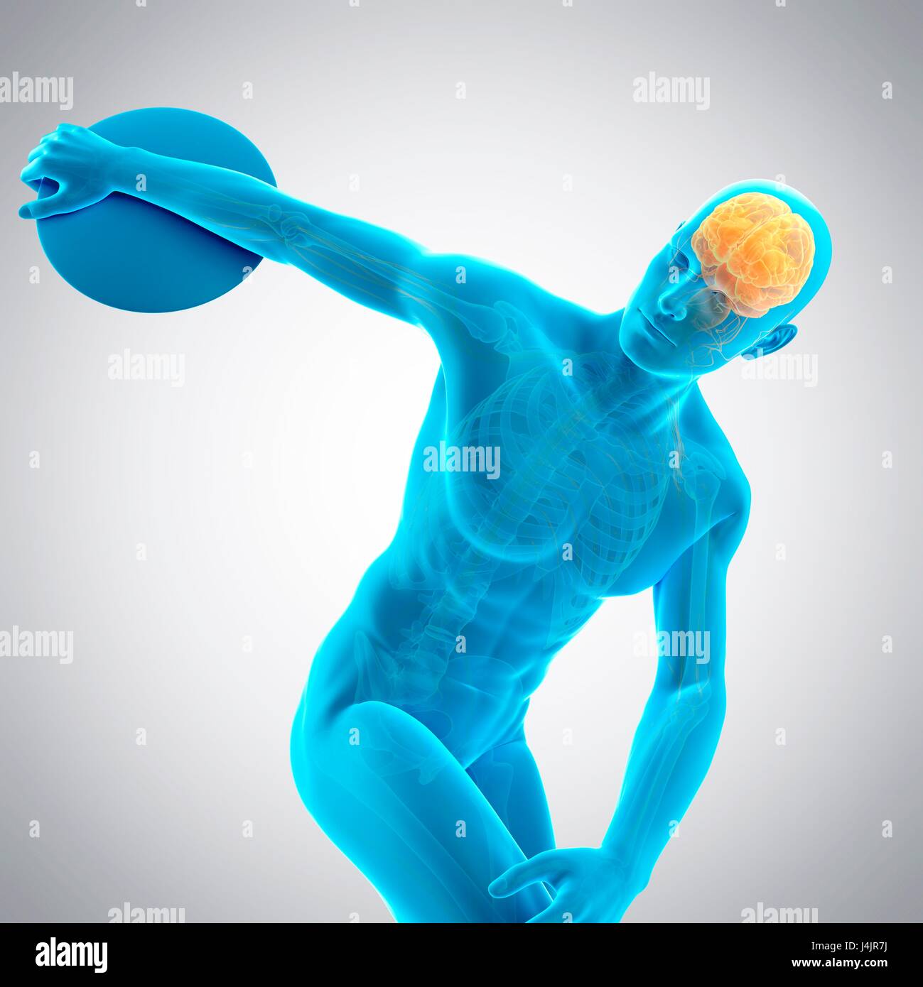 Anatomy Of Athlete Throwing Discus High Resolution Stock Photography ...