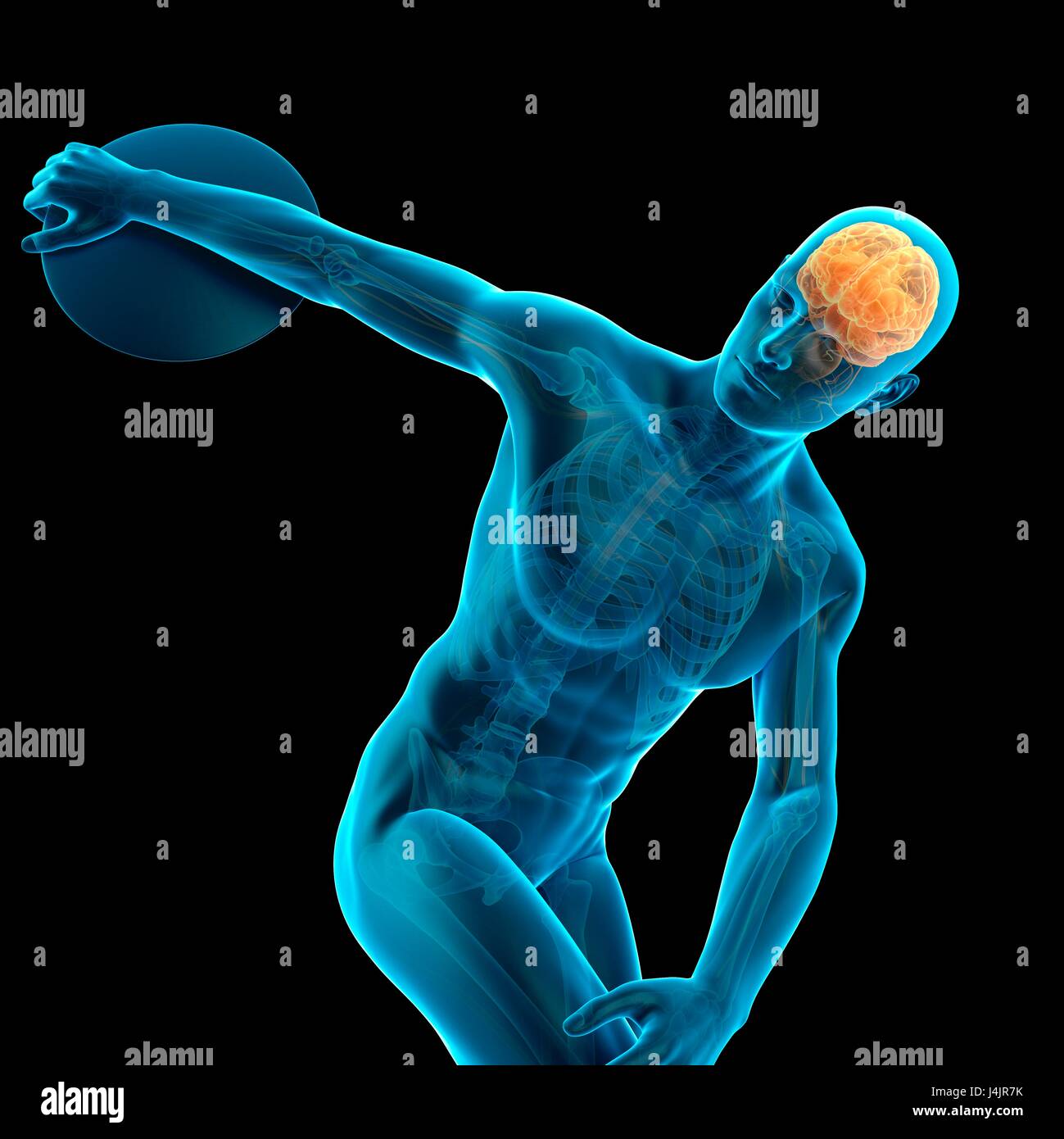 Brain of athlete throwing discus, illustration Stock Photo - Alamy