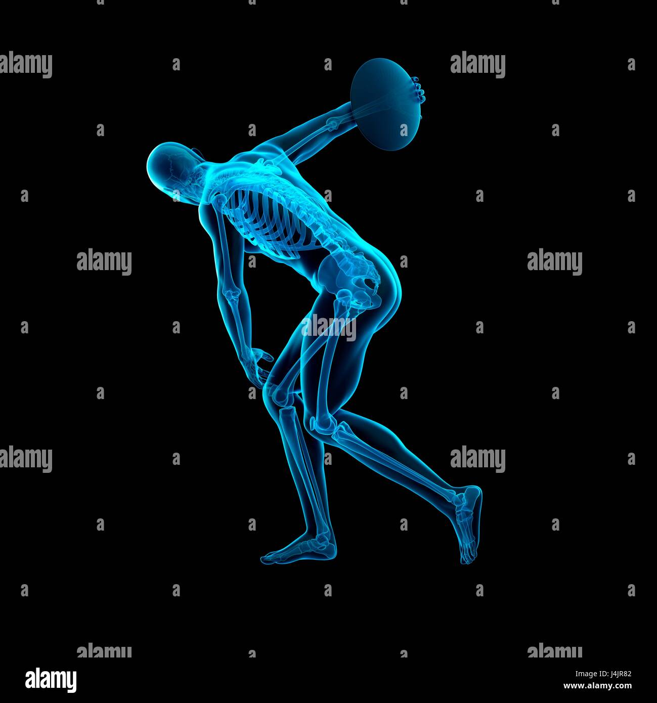 Skeletal structure of athlete throwing discus, illustration Stock Photo ...