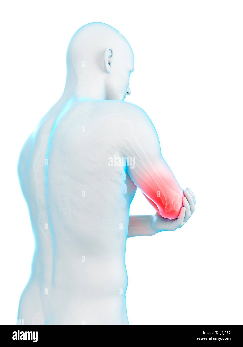 The elbow hi-res stock photography and images - Alamy