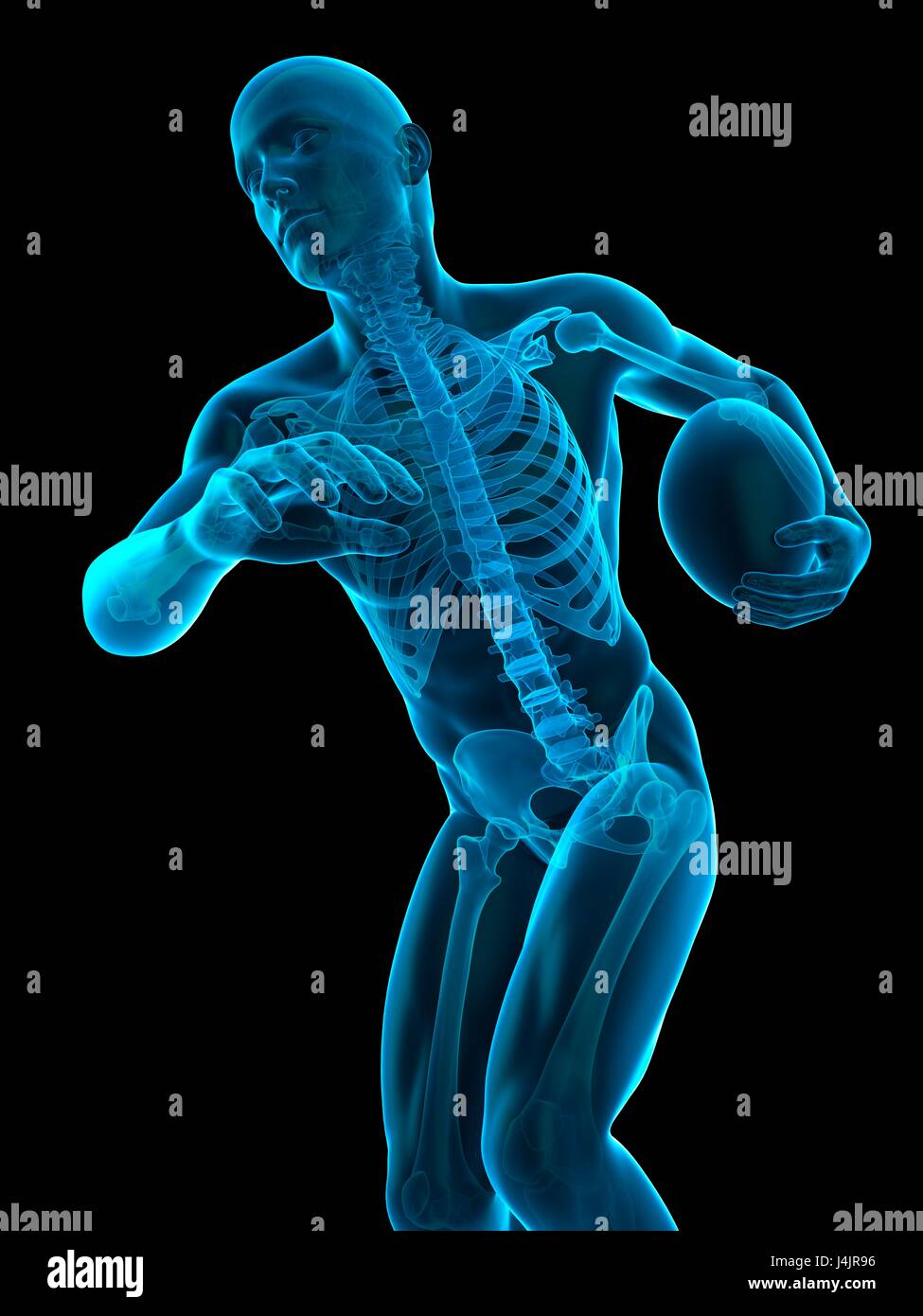 Skeletal structure of rugby player hi-res stock photography and images ...