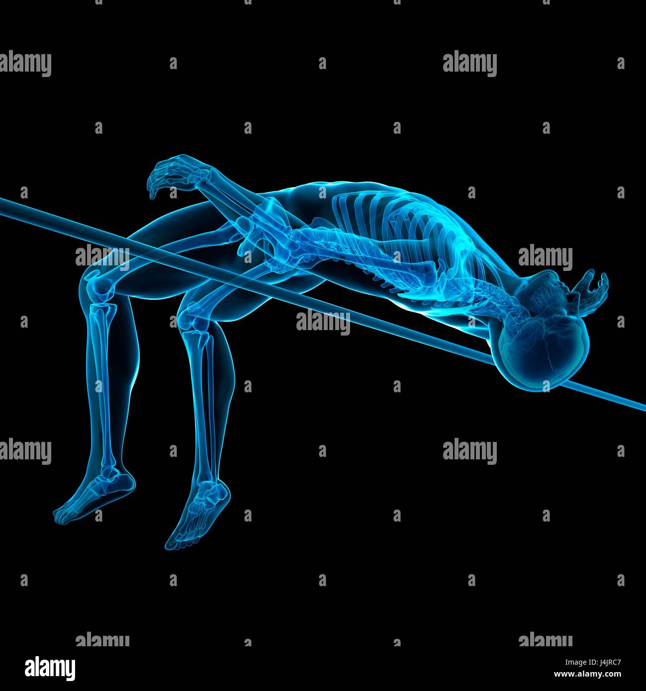 Anatomy of person high jumping hi-res stock photography and images - Alamy