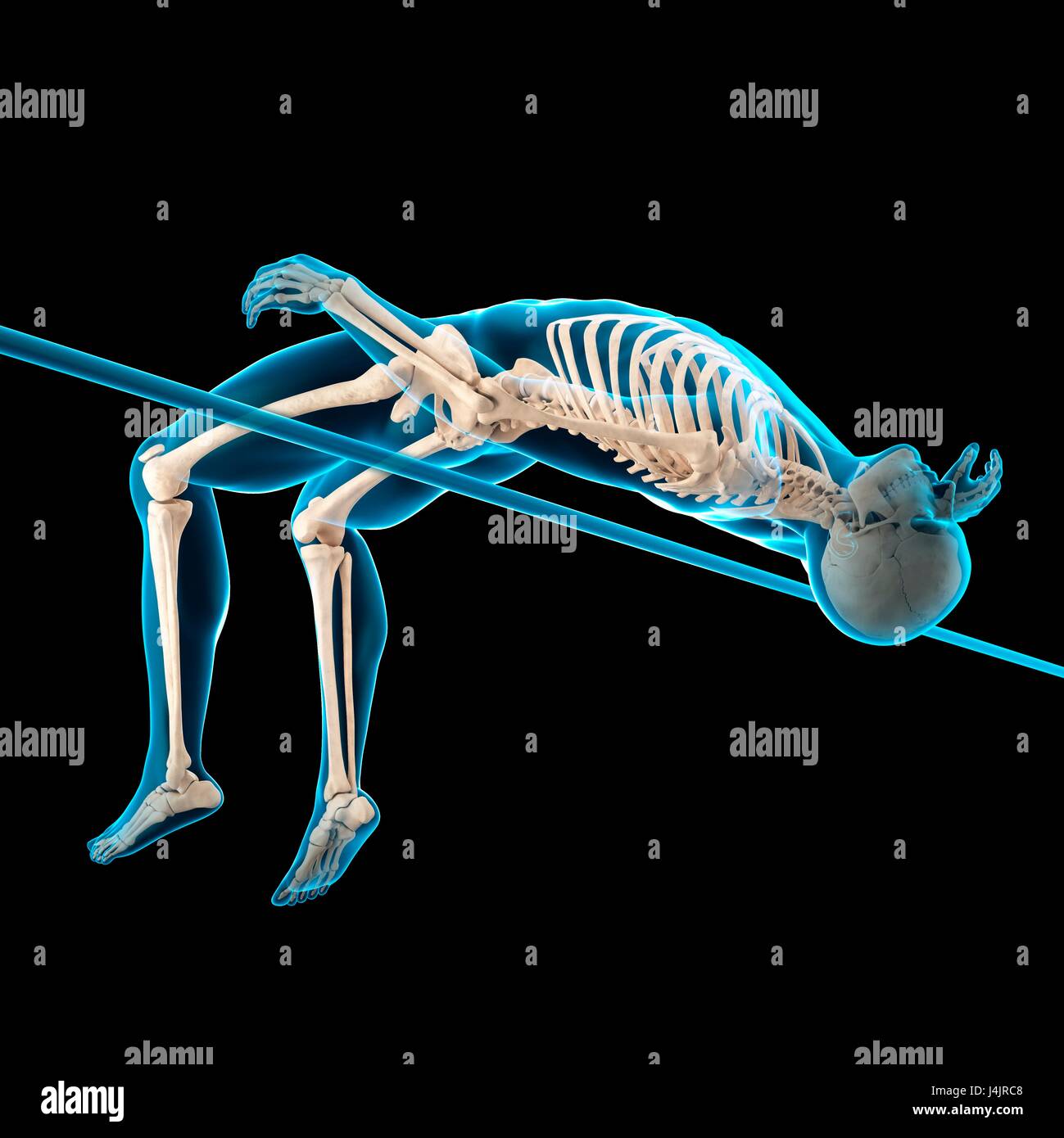 Anatomy of person high jumping hi-res stock photography and images - Alamy