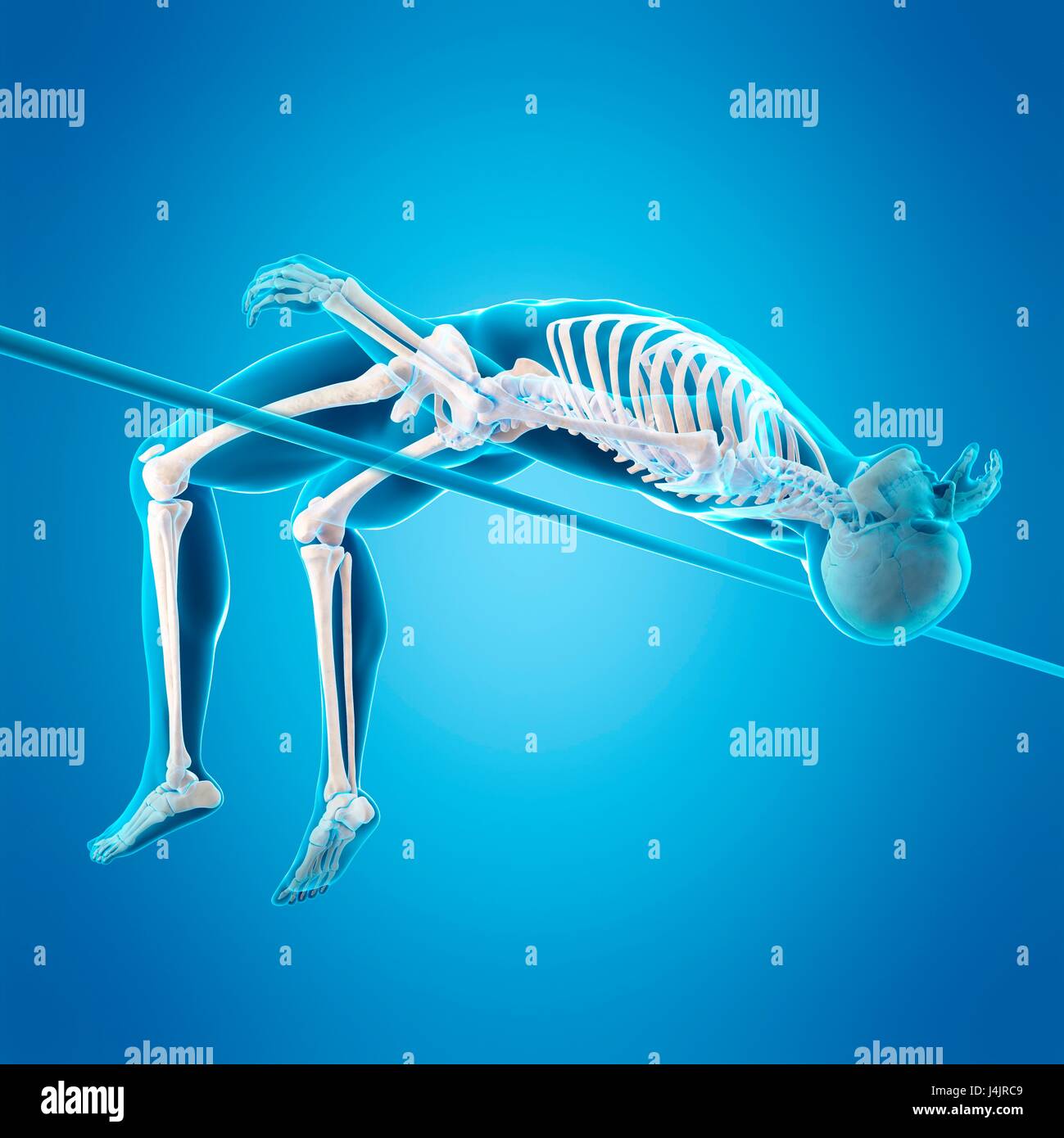 Skeletal structure of person high jumping, illustration Stock Photo - Alamy