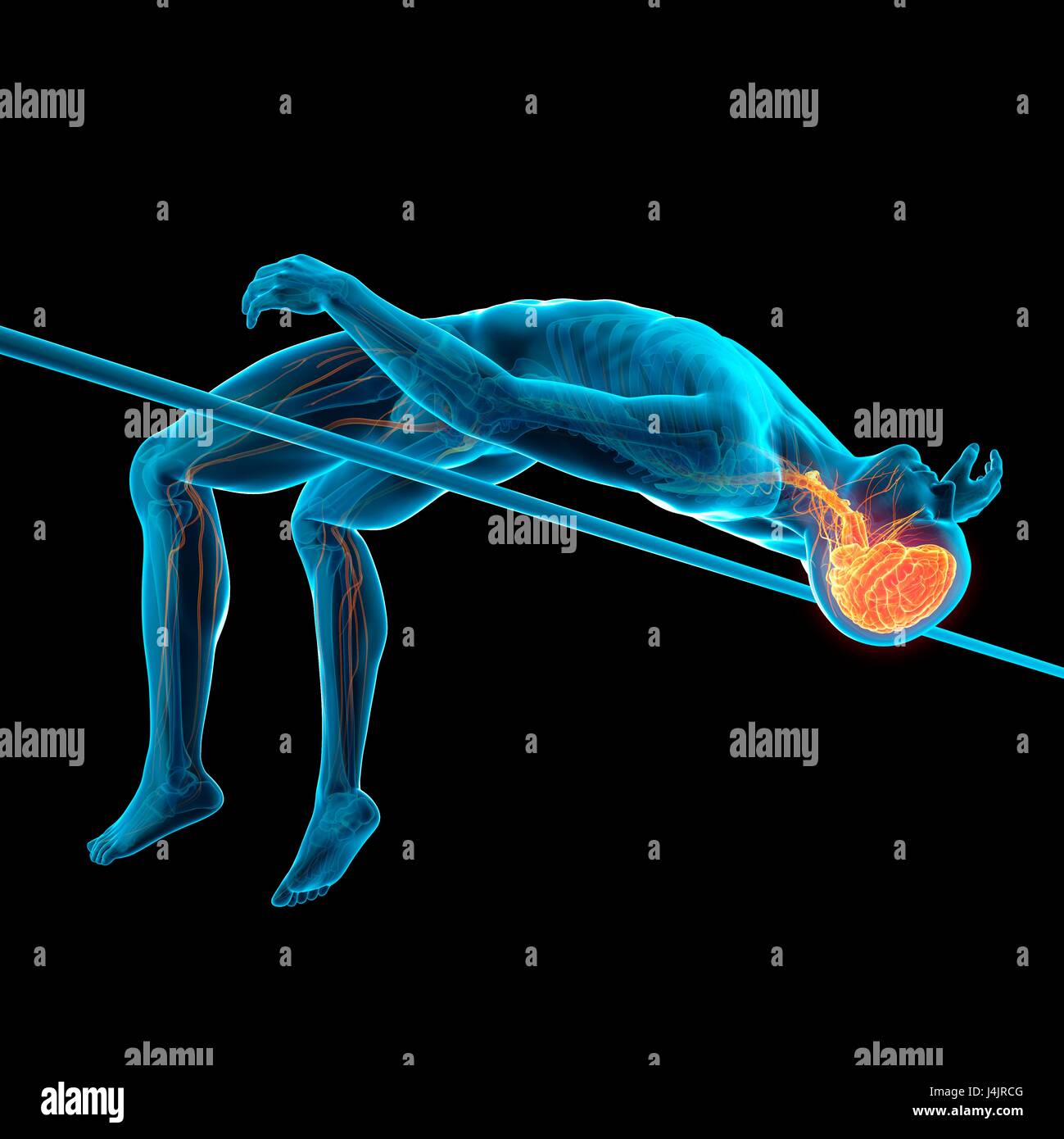 Brain of person high jumping, illustration Stock Photo - Alamy