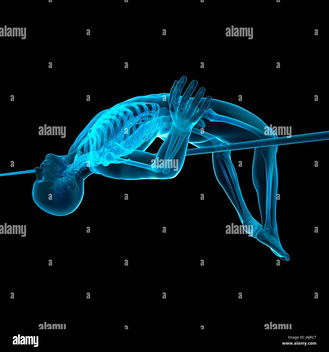 Skeletal structure of person high jumping, illustration Stock Photo - Alamy