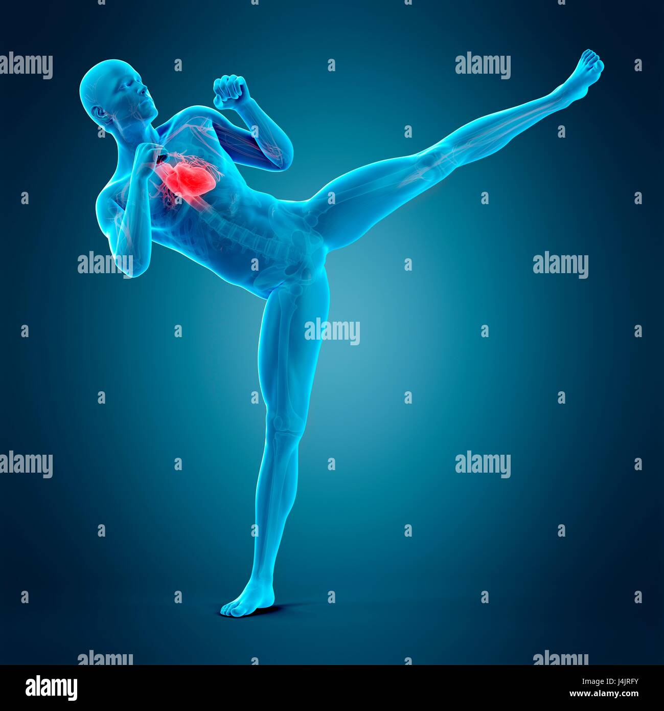 Person Doing High Kick High Resolution Stock Photography and Images - Alamy
