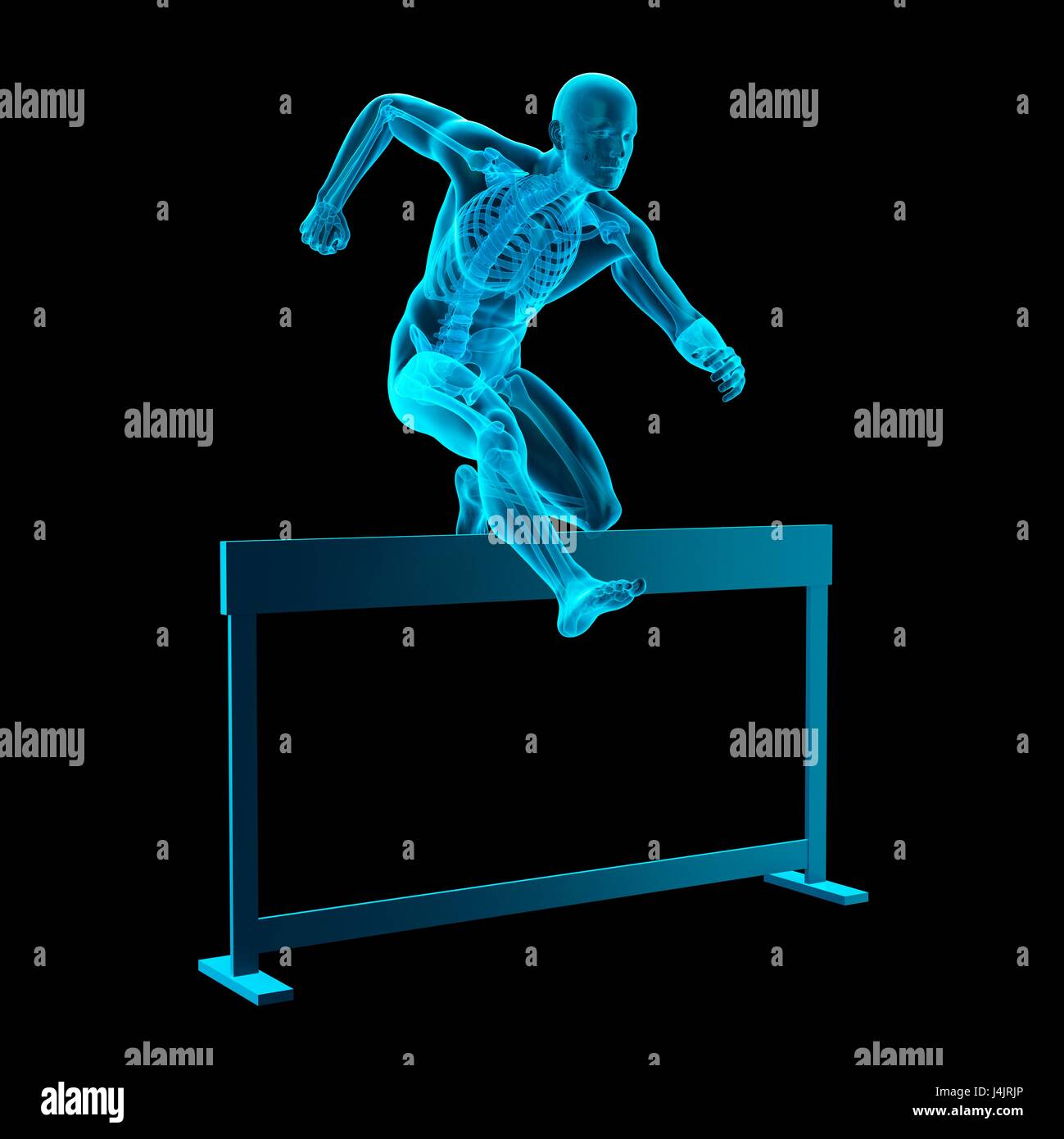 Skeletal structure of athlete hurdling over hurdle, illustration Stock ...