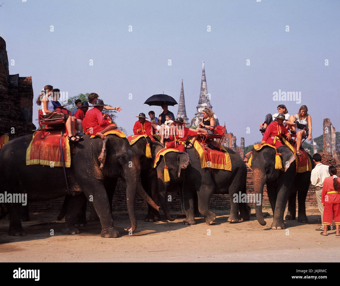 Thailand, Bangkok, elephant, tourist, ride Asia, royal Palace, riding ...
