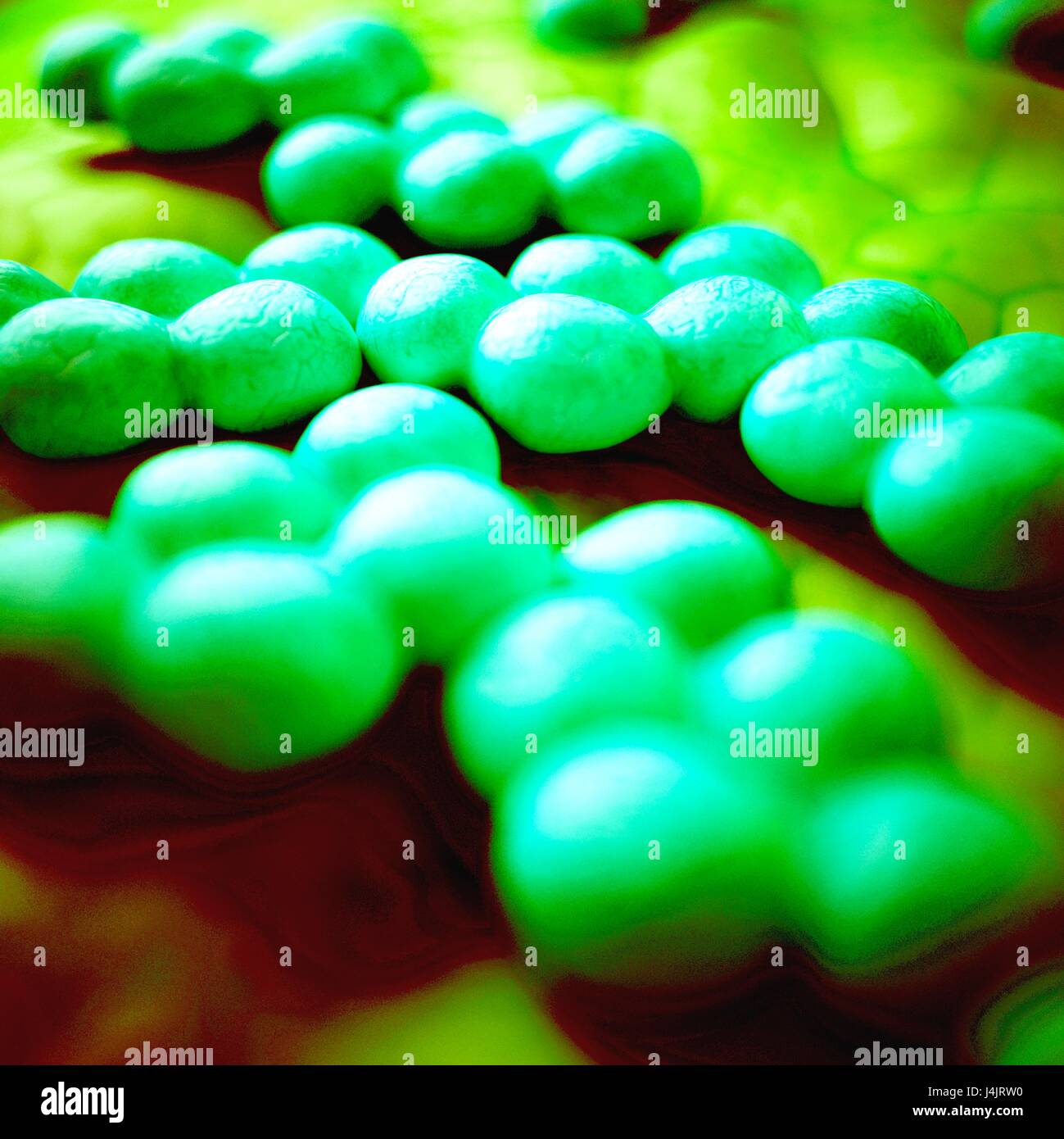 Mrsa (Methicillin-resistant Staphylococcus aureus) bacteria ...