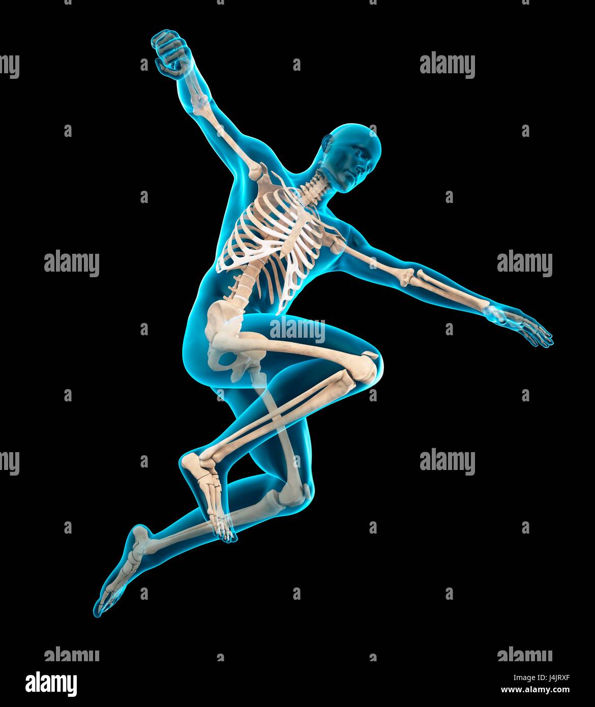 Skeletal structure of person jumping with arms outstretched ...