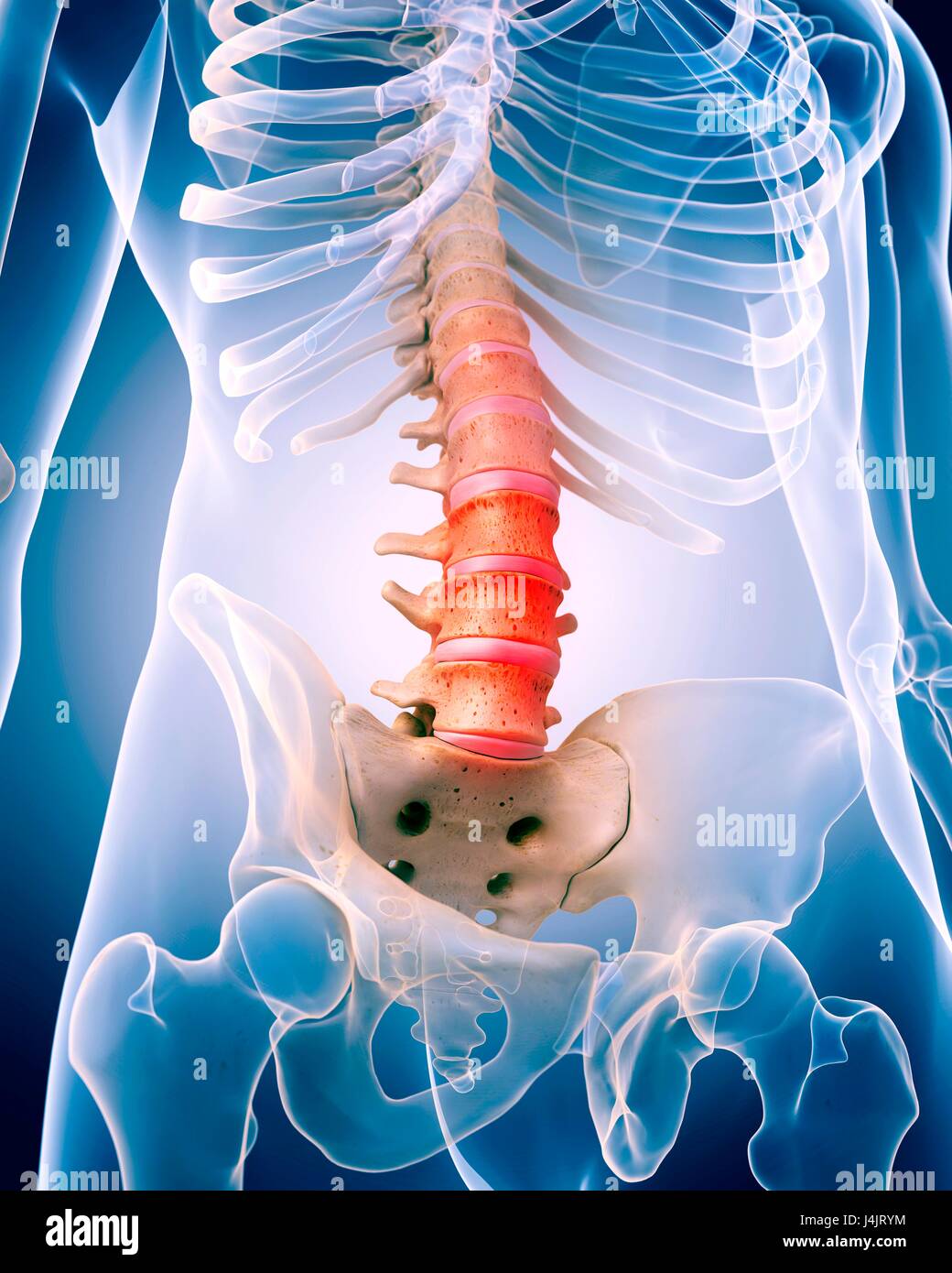 Human spinal pain hi-res stock photography and images - Alamy