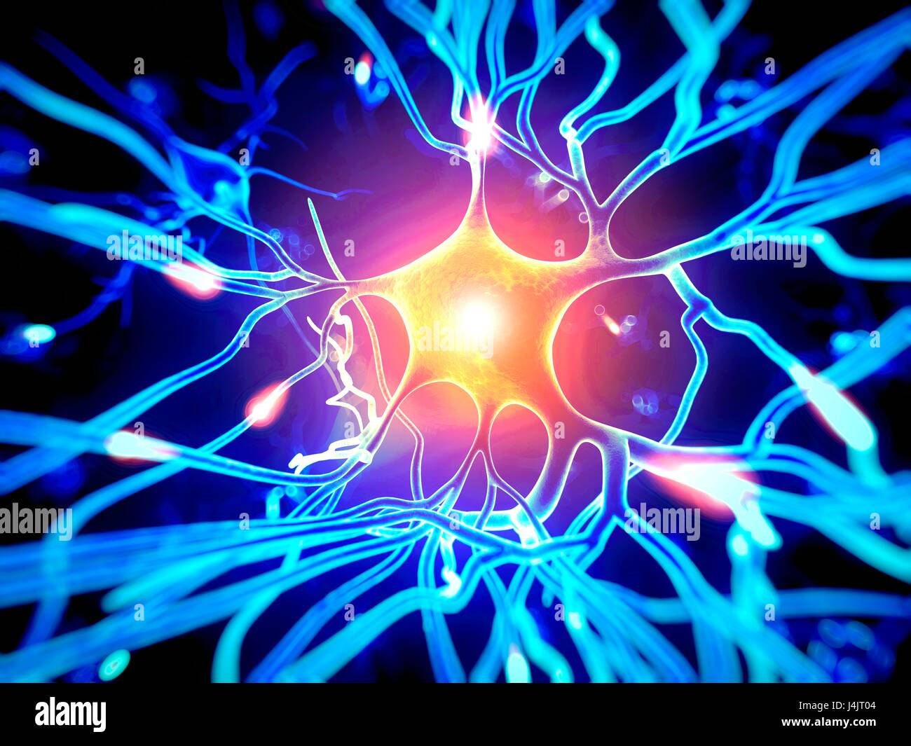 Human nerve cell, illustration Stock Photo - Alamy