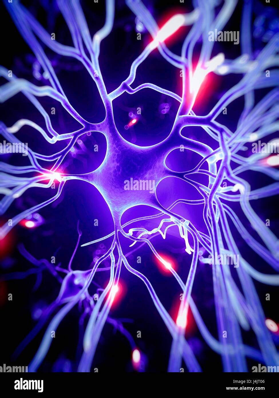 Human nerve cell, illustration Stock Photo - Alamy