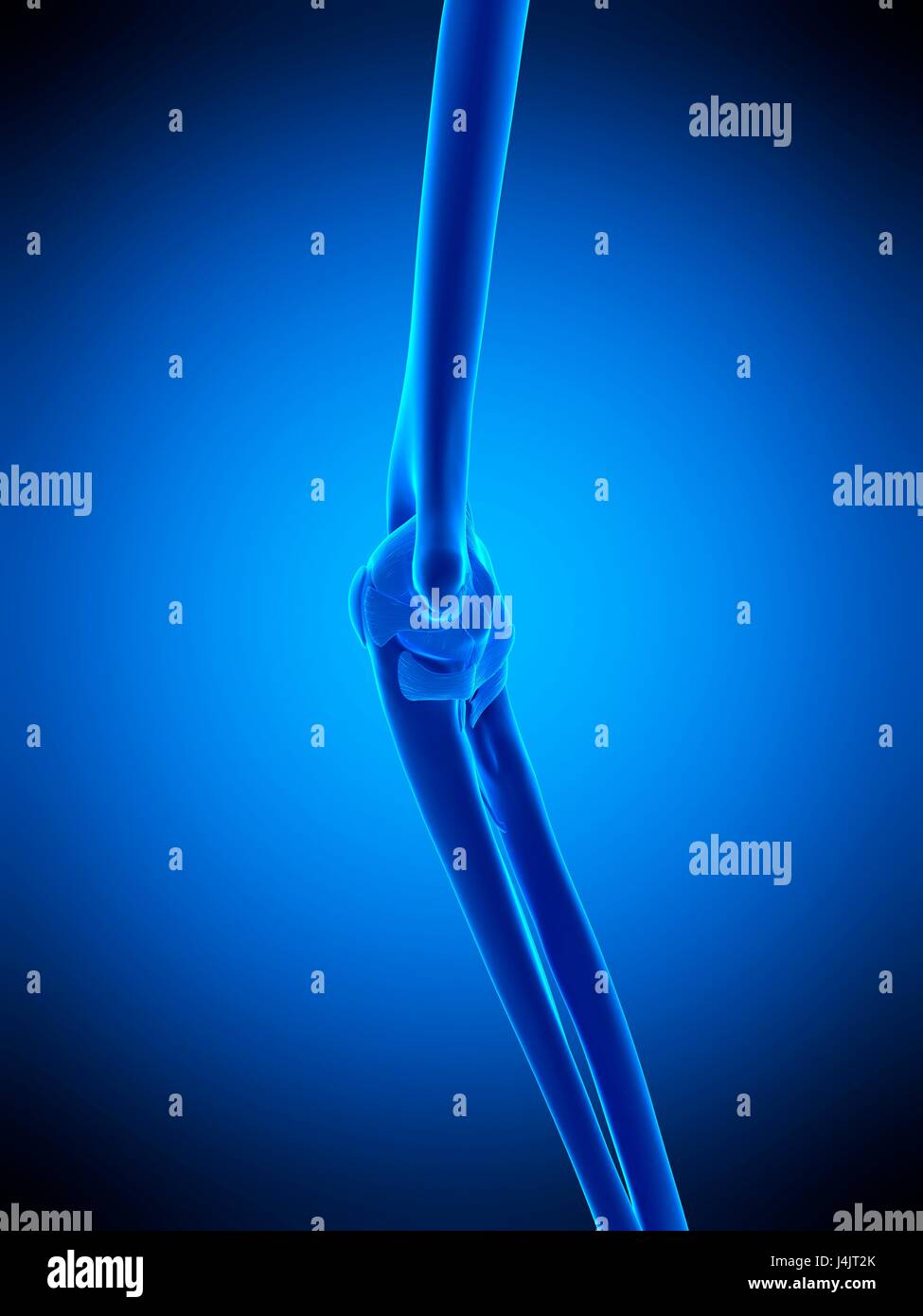 Illustration of the elbow Stock Photo - Alamy