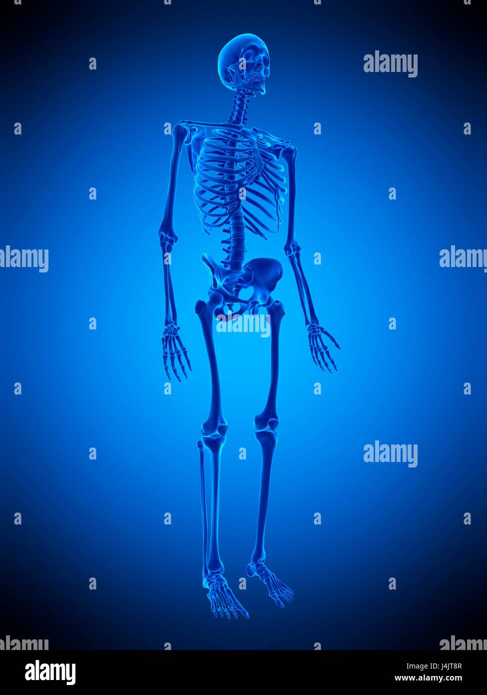 Human skull animation on black hi-res stock photography and images - Alamy