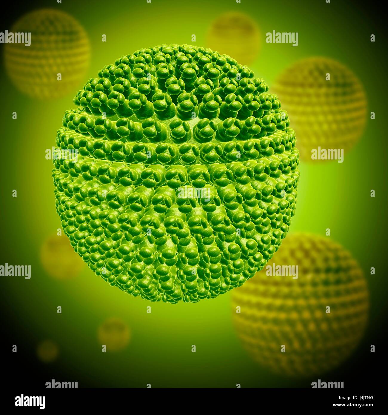 Illustration of a West Nile Virus particle Stock Photo - Alamy