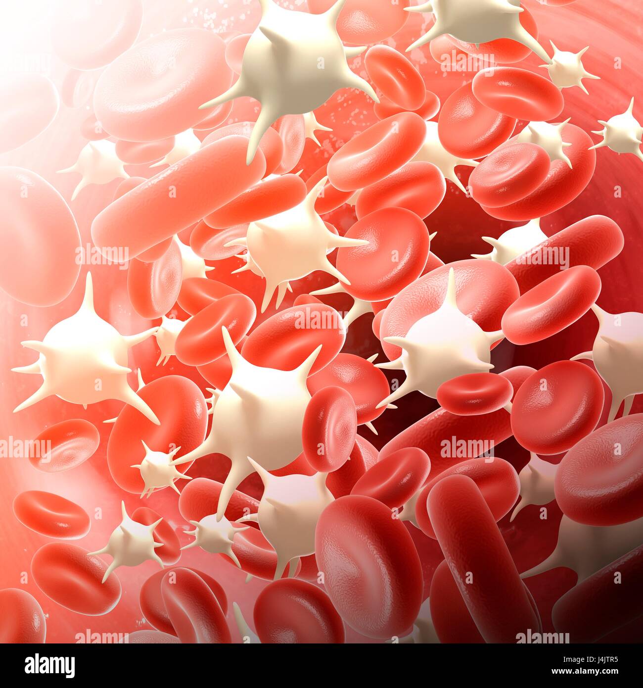 Red and white blood cells hi-res stock photography and images - Alamy