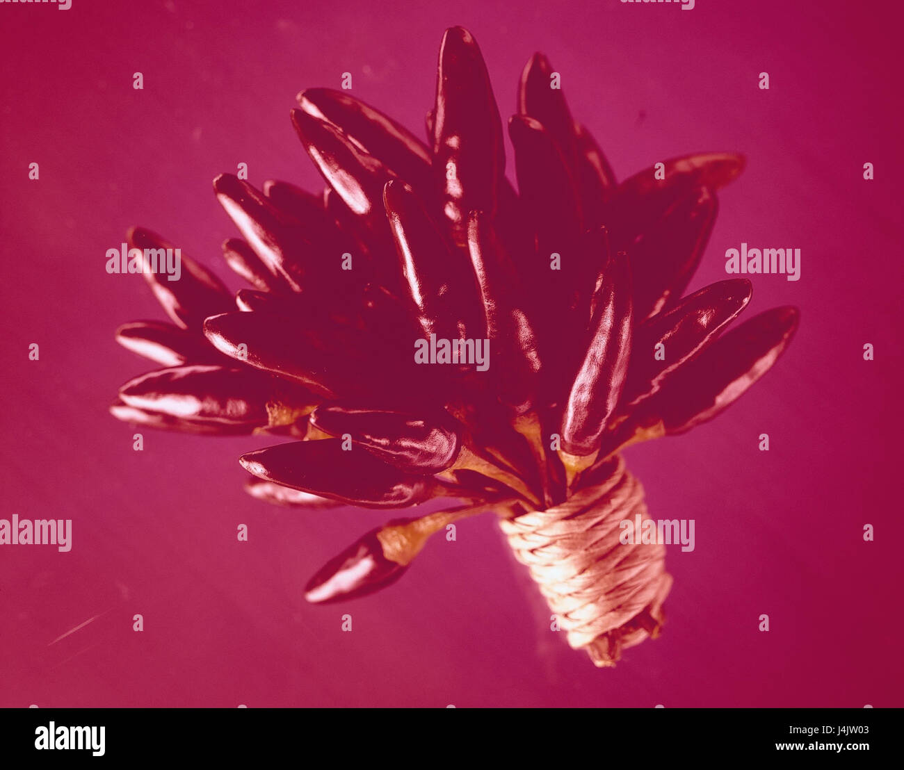 Bundle, chilli pods, chillis, red, still life, food, food, vegetables ...