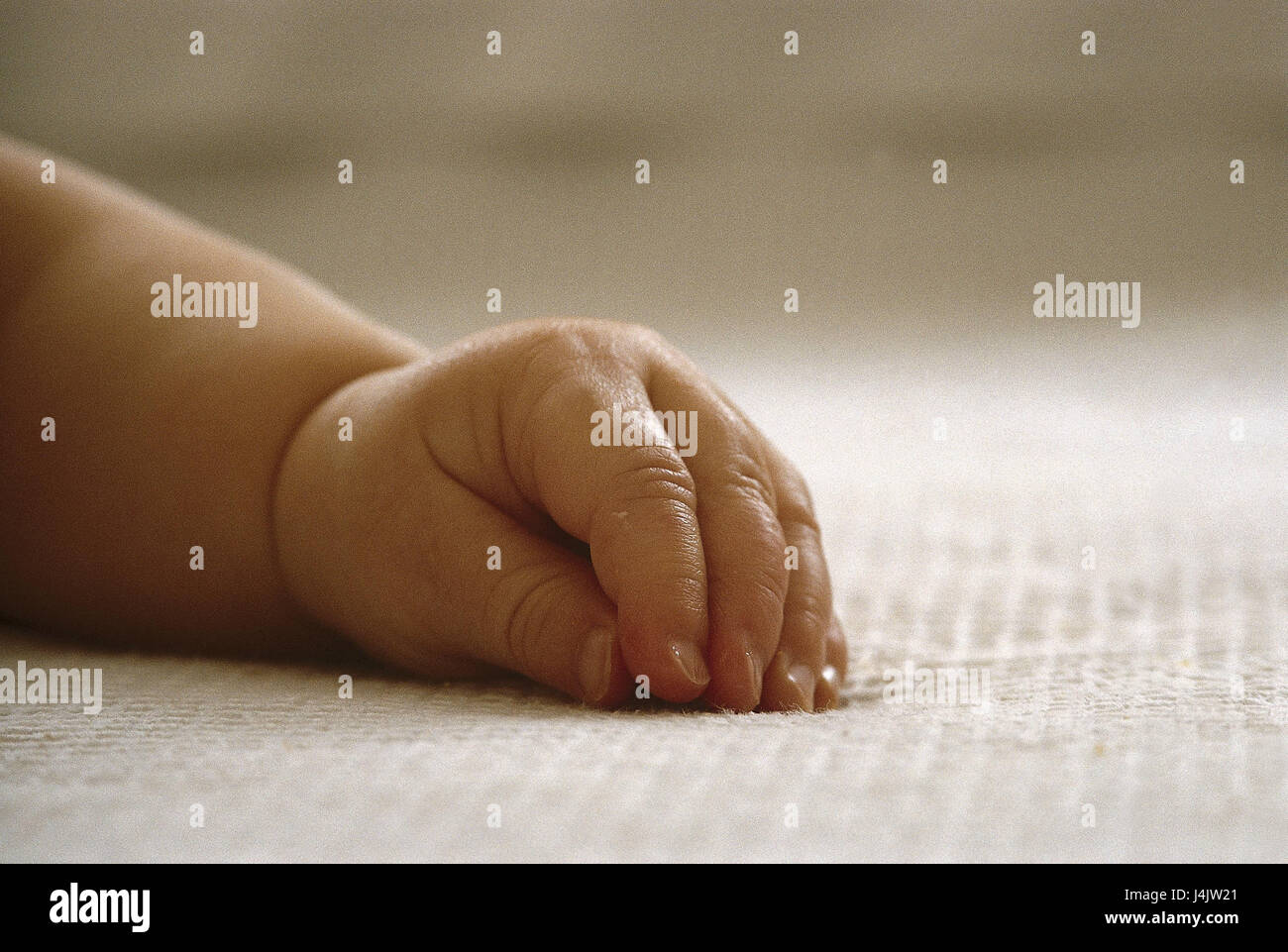 Baby hand shell, child, baby, parts of the body, limbs, hand, child ...