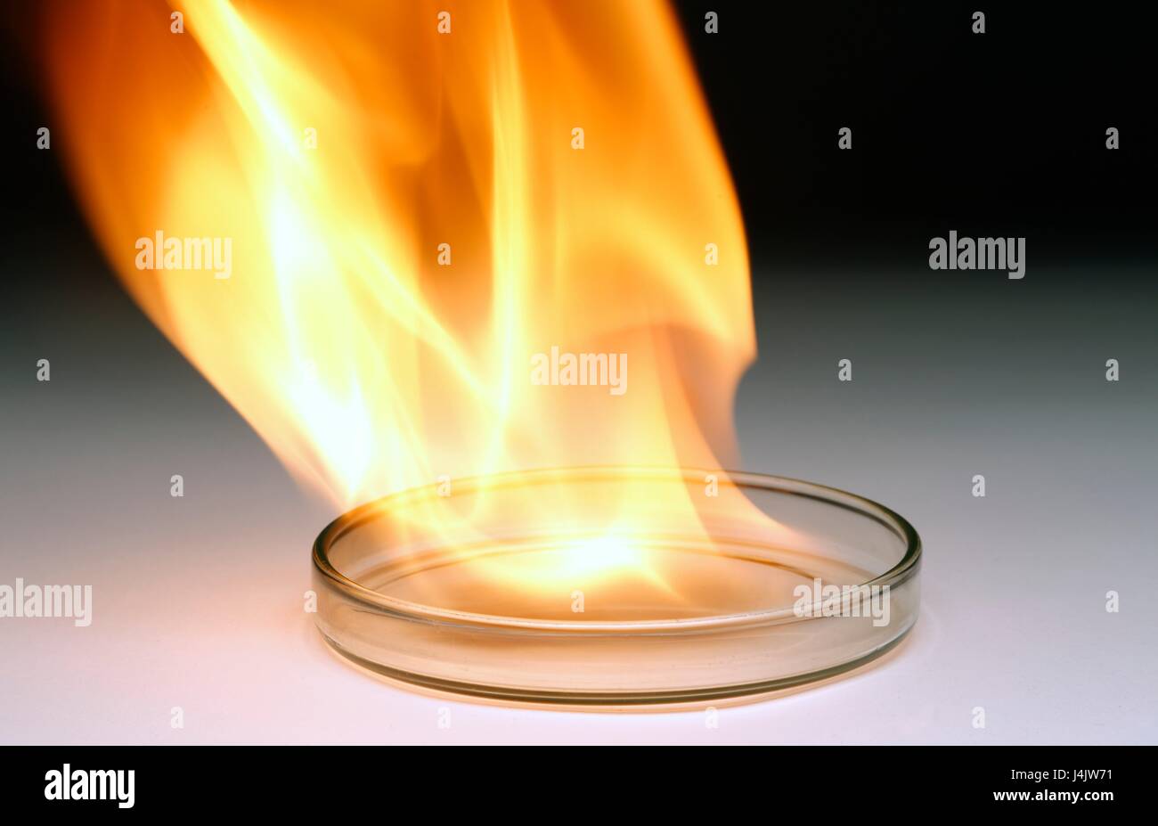 Petri dish with flames, illustration Stock Photo - Alamy