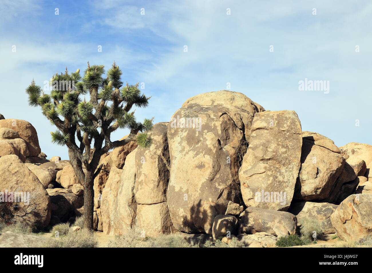 unique rock formations at Joshua tree national park Stock Photo - Alamy