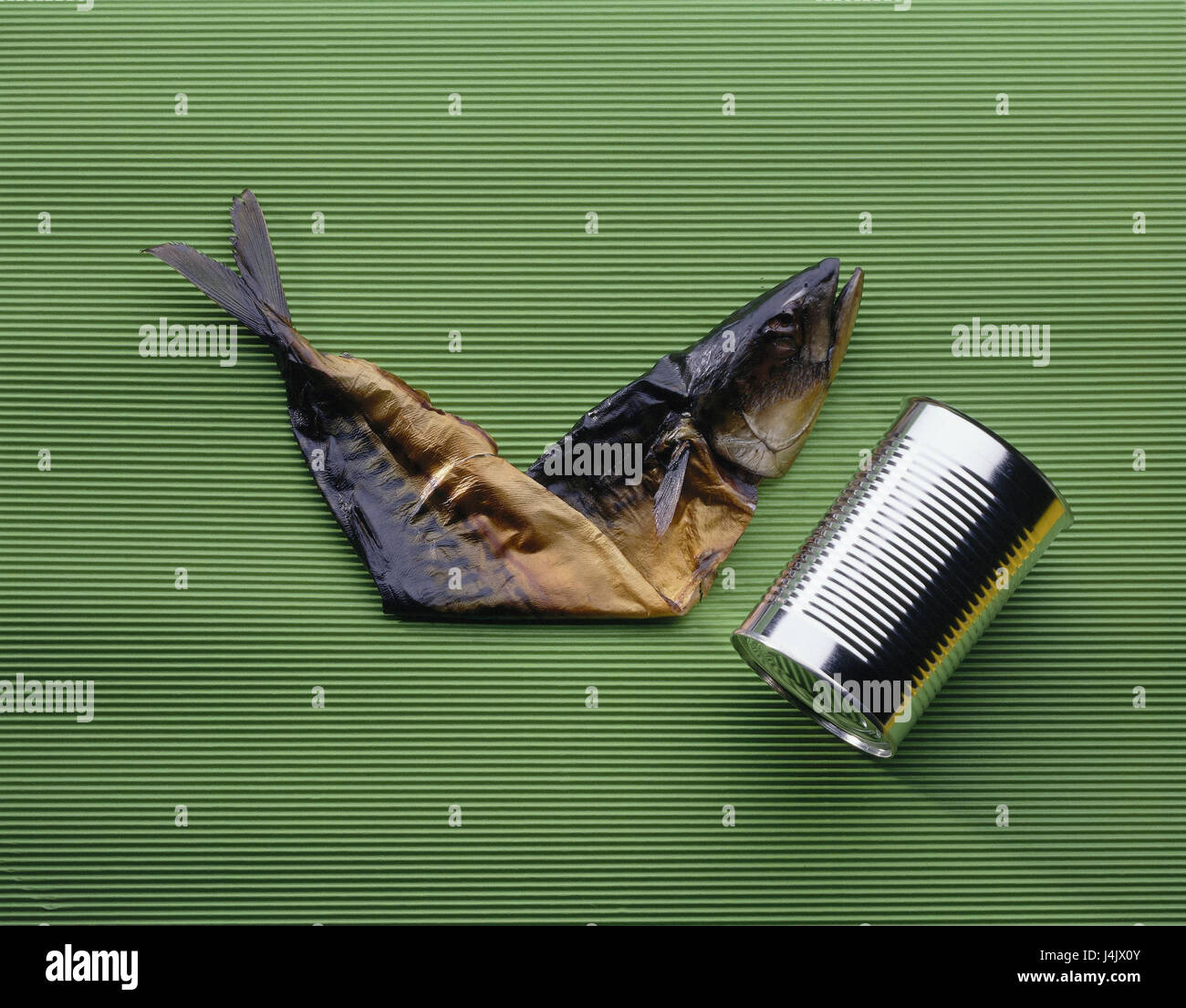 Food fish, mackerel, smoked, fish shell, tin still life, food, food ...