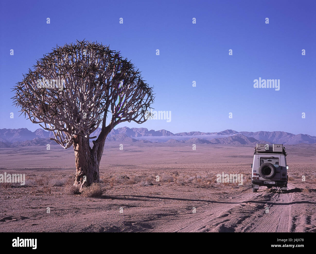 Namibia, Kaokoveld, hard man's area, mountain desert, tree, jeep, rear ...