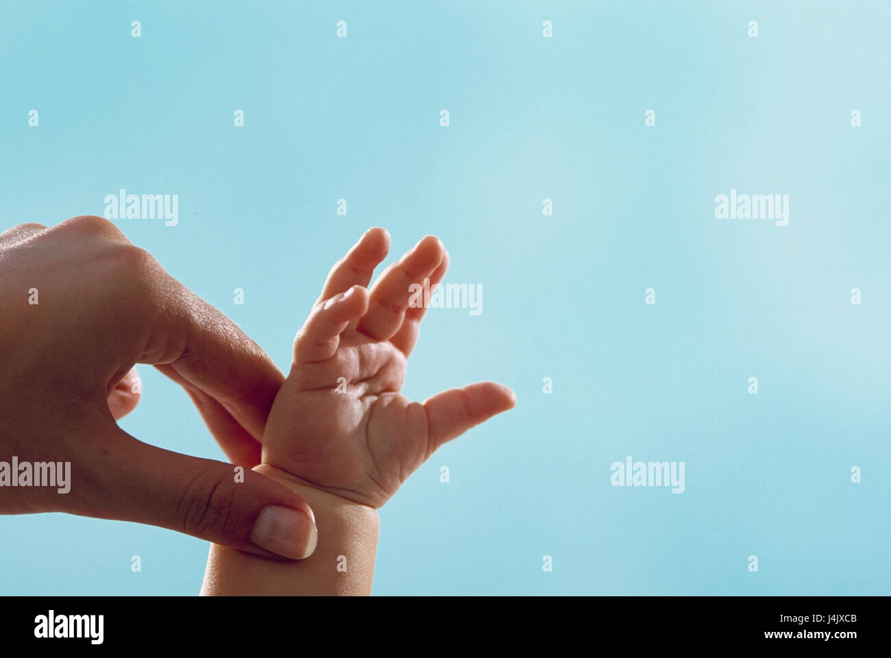 Adult hand, baby hand, touch nut, detail, hand, women's hand, child ...