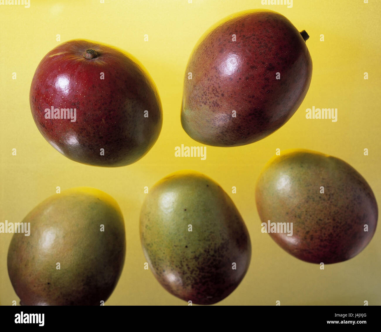 Mangos fruit, tropical fruits, fruits, exotic, tropical, mango fruits ...